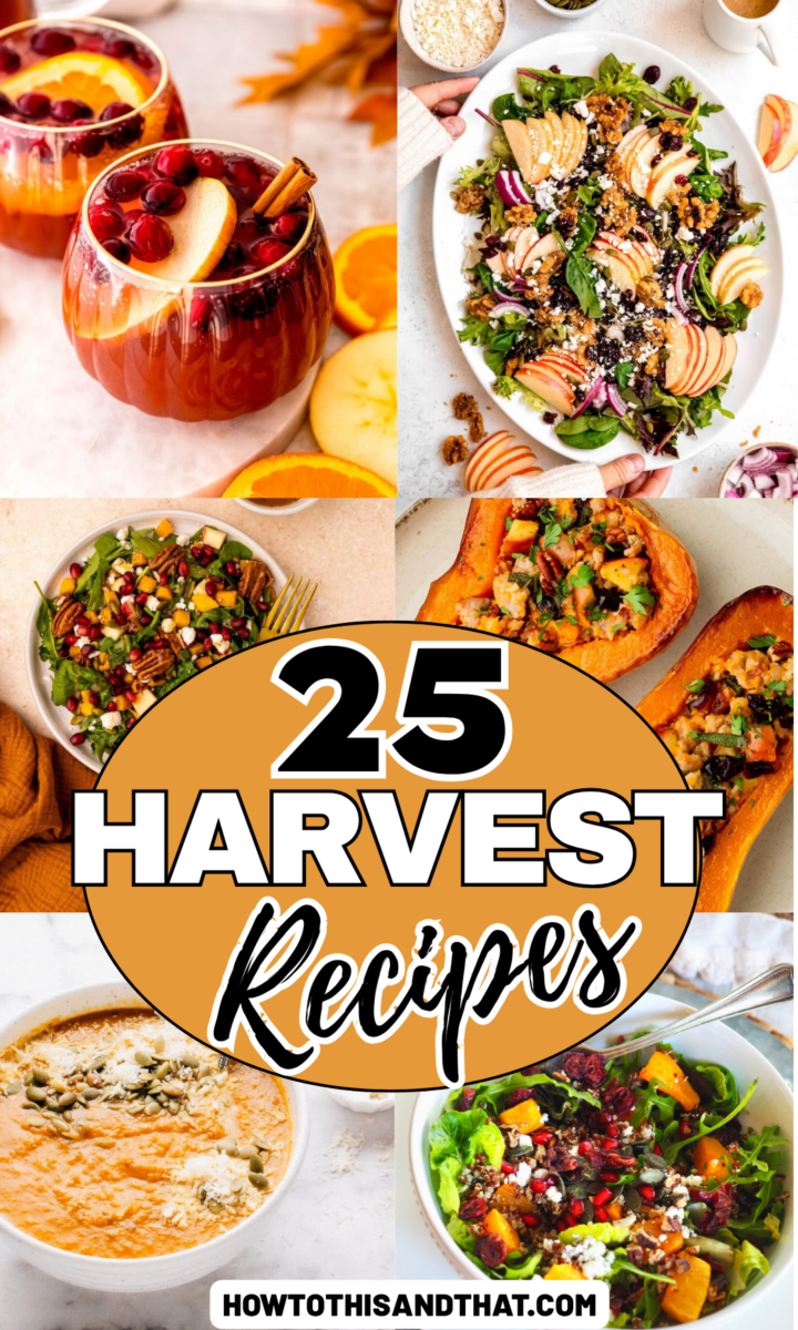 Harvest Recipes - 25 Yummy Fall Recipes You'll Love